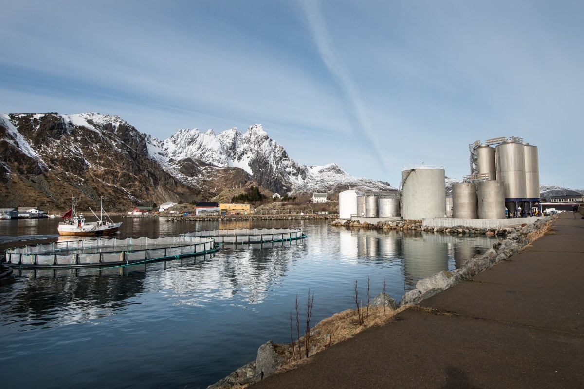 Lofoten Marine Oils – Tomma foto